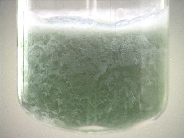 Chromium(III) Chloride with Ammonia