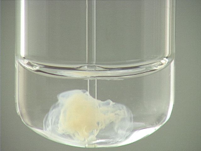 Manganese(II) Chloride with Sodium Sulfide