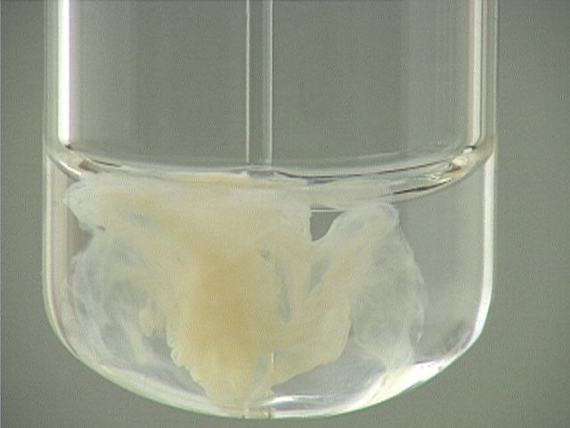 Manganese(II) Chloride with Sodium Sulfide
