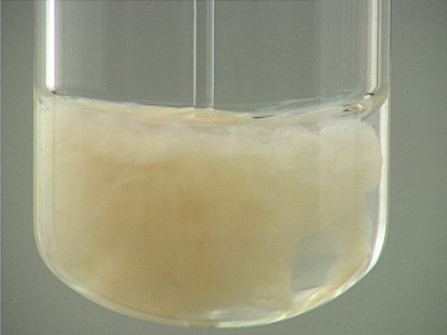 Manganese(II) Chloride with Sodium Sulfide