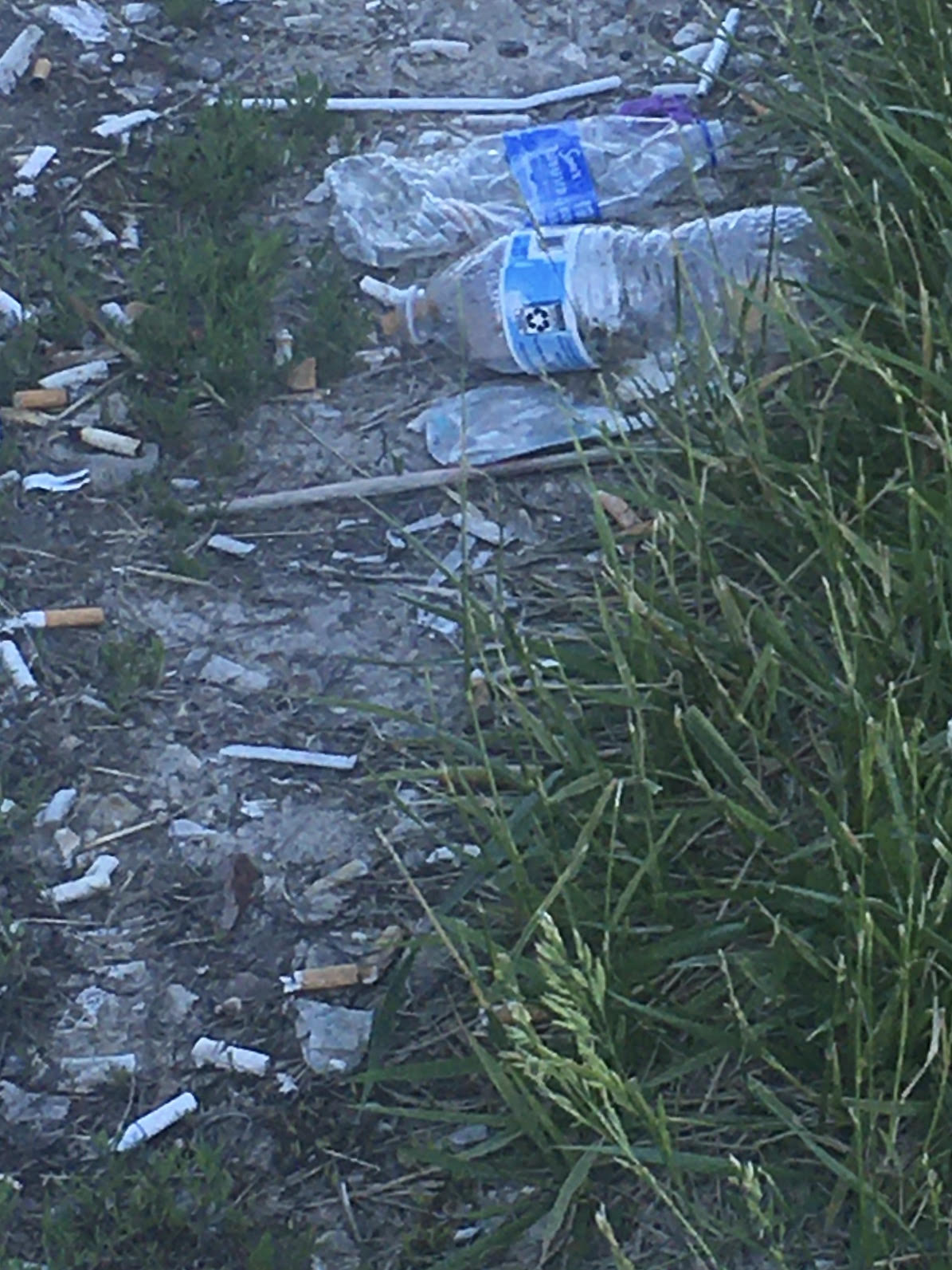 Surveying Litter as a Citizen Science Chemistry Activity | Chemical ...