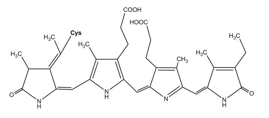 Chemical Investigations of McCormick's Color From Nature Food Colors ...