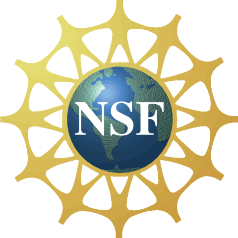 National Science Foundation | Chemical Education Xchange